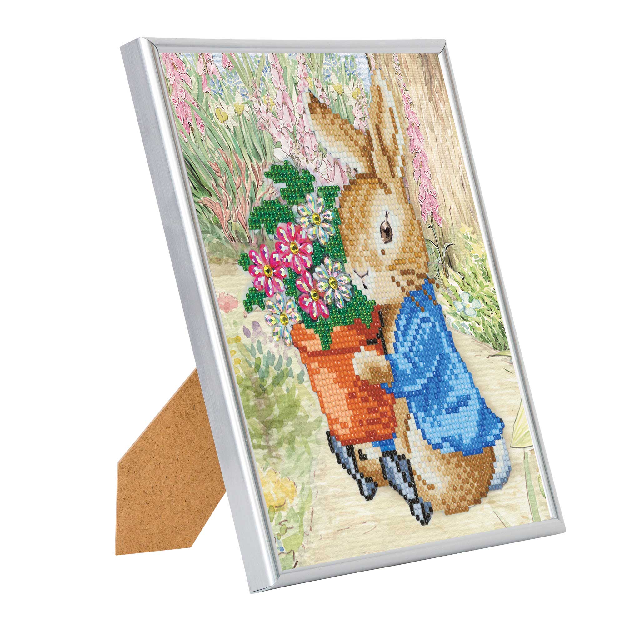 CRAFT BUDDY PETER RABBIT CRYSTAL ART PICTURE FRAME » Birch Wholesale